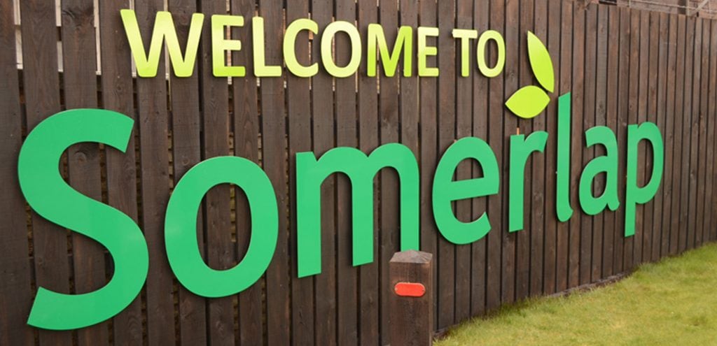 Just off J22 of the M5, Mark, Somerset - Somerlap